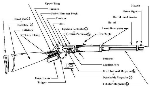 Firearms - Guides - Importation & Verification of Firearms, Ammunition ...